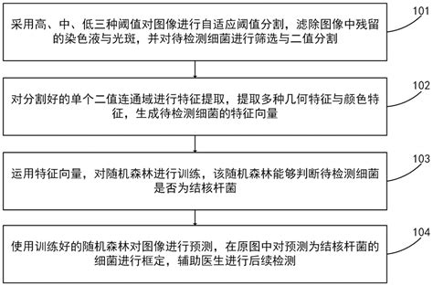 一种基于随机森林的荧光结核杆菌检测方法 2