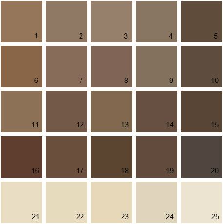 Benjamin Moore Mocha Brown