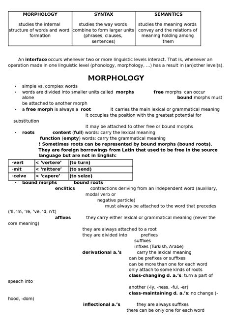 Morfologia Sintassi E Semantica Inglese Docsity