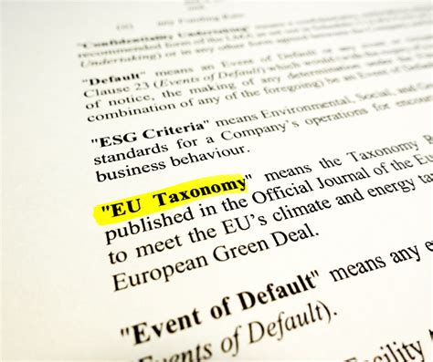 How To Write An Eu Taxonomy Report [complete Guide With Example] Celsia