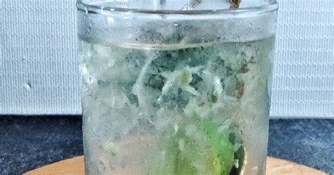 Resep Es Gula Jeruk Nipis Bali Oleh Aniesaryono Cookpad