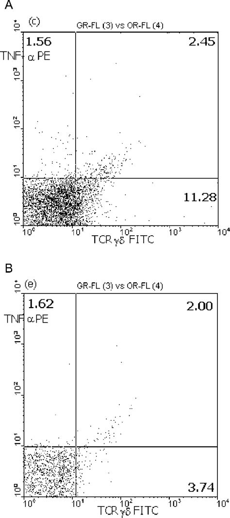 Flow Cytometry Analysis Of Bal Obtained From 4 And 60 Days Of Age As