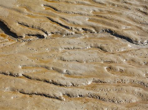 Sediment Sand