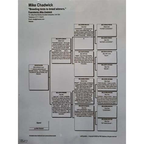 Gb24s82019 Red Grizzle Sex Line Cavendish” Frost” X Inbred Olympic