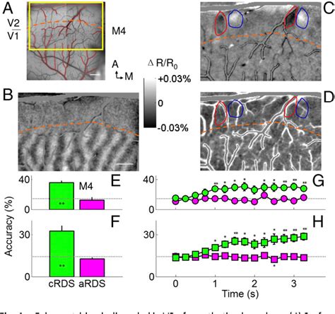 figure 4 from solving visual correspondence between the two eyes via