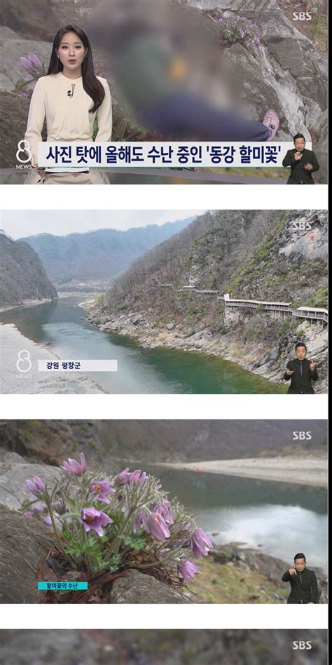 사진작가들이 사진을 찍고나서 훼손하는 이유 포텐 터짐 최신순 에펨코리아