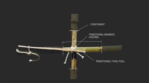 Quantitative Kangaroo Simulation Of Gridshell With Slotted Holes Kangaroo Mcneel Forum