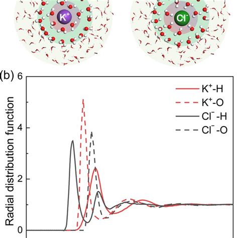 Pdf Charge Asymmetry Effect In Ion Transport Through Angstrom Scale