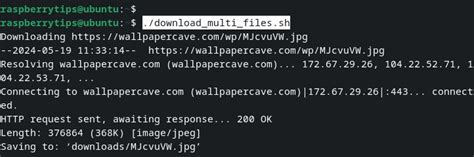 How To Download Files On Linux Using Terminal Raspberrytips