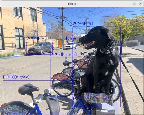 Openvino™ Object Detection Tutorial — Documentation