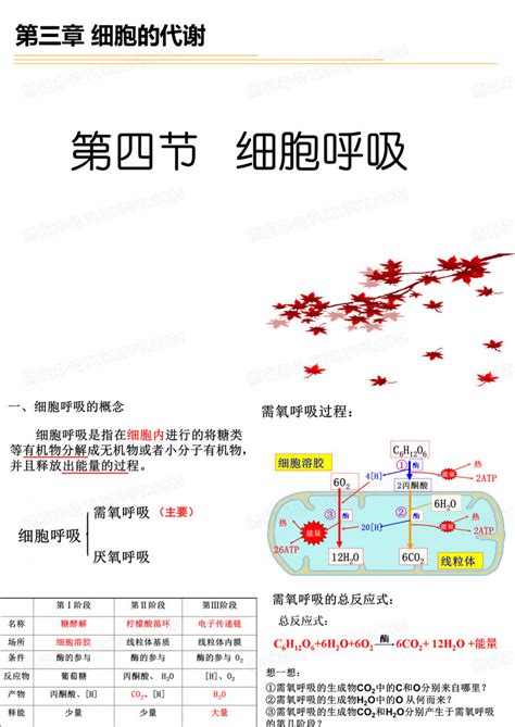 细胞呼吸ppt模板下载编号ldzknxrb熊猫办公