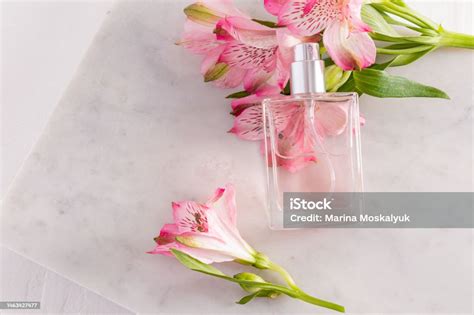 화장품 향수 또는 스프레이의 우아한 병은 봄 분홍색 꽃의 가지에 기대어 있습니다 이름없는 병 제품 프레젠테이션 강단에 대한 스톡 사진 및 기타 이미지 Istock