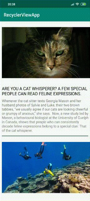 Firebase Realtime Database Ile Recyclerviewde Kotlin Ile Veri Listeleme3 By Emine Şa Medium