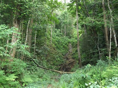 从静谧峡谷到歌舞版纳的吃货之行 峡谷旅游攻略 游记 去哪儿攻略