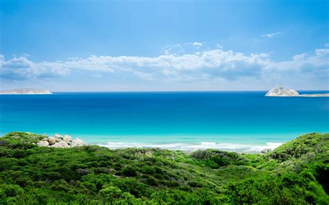 Photography Nature Plants Landscape Sea Water Coast Rock