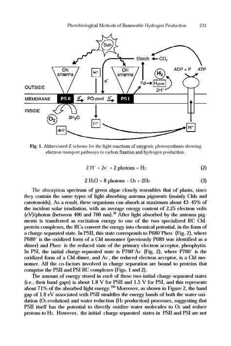 Photosynthesis Hydrogen Transport Big Chemical Encyclopedia