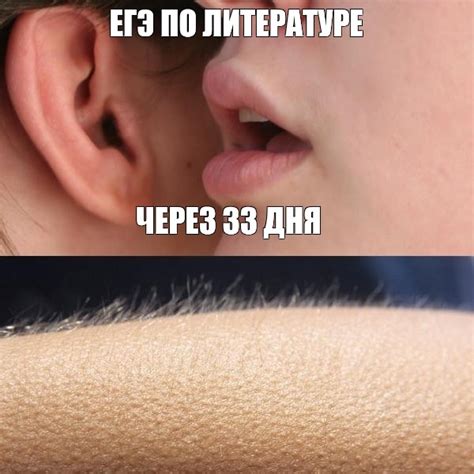 Мем ЕГЭ ПО ЛИТЕРАТУРЕ ЧЕРЕЗ 33 ДНЯ Все шаблоны Meme