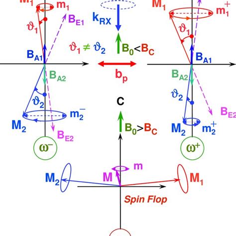 Precession Modes In An Antiferromagnet With An Easy Axis Of Anisotropy Download Scientific
