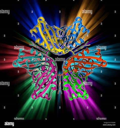 Moac Protein Molecular Model Of The Molybdenum Cofactor Biosynthesis Protein Moac This Enzyme