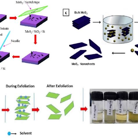Different Raft System Applications In Grdds Download Scientific Diagram