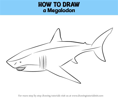 How To Draw A Megalodon Printable Step By Step Drawing