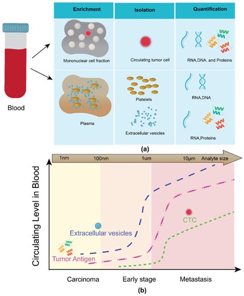 Microfluidic Liquid Biopsy Minimally Invasive Cancer Diagnosis By Nano Plasmonic Label Free