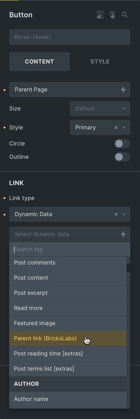 Custom Dynamic Data Tags In Bricks Brickslabs