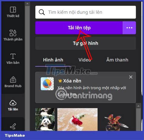How To Crop An Image Into A Circle On Canva