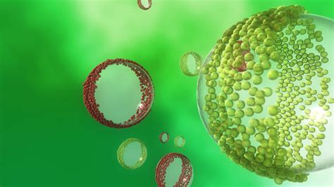 Scientific Visualisation Janus Capsules On Behance