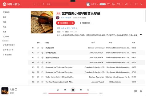 使用 C 和 Wpf 开发网易云音乐 董川民