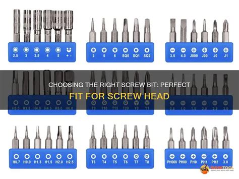 Choosing The Right Screw Bit Perfect Fit For Screw Head Shuntool