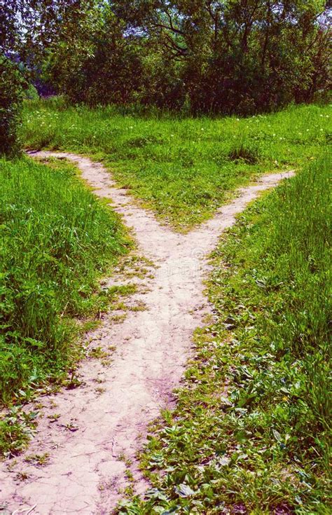 The Wide Pathway In The Grass Splits Into Two Narrow Paths Stock Image