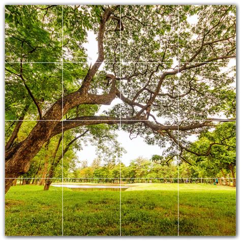 Picture Tiles Com Trees Ceramic Tile Wall Mural WAL501040 44M 24 W X 24 H Using 16 6 X 6