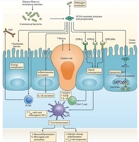 次世代定序知識櫥窗