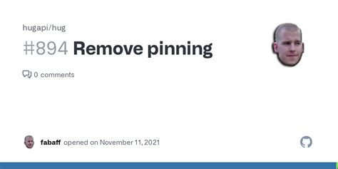 remove pinning · issue 894 · hugapi hug · github
