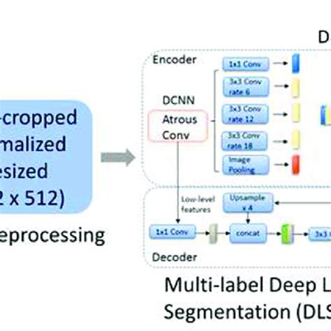 Schematic Overview Of The Proposed Deep Learning Multi Label
