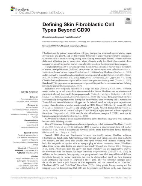 Pdf Defining Skin Fibroblastic Cell Types Beyond Cd90