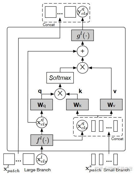 【论文阅读】crossvit cross attention multi scale vision transformer for