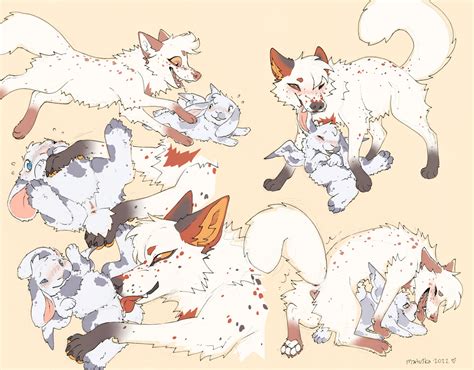 Rule 34 Animal Genitalia Animal Pussy Anus Bite Canid Canine Canine