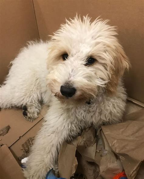 Project 0x0e C Structures Typedef Alx Intranet Session