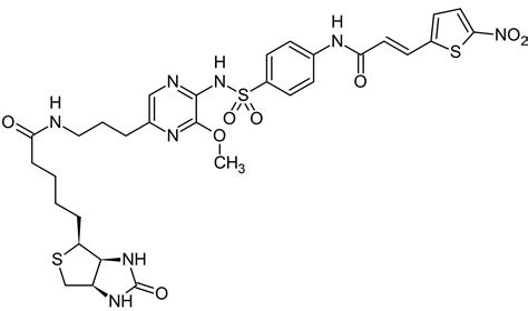 Biotin Necrosulfonamide Propyl Amide Derivative Of Necrosulfonamide