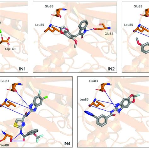 binding modes calculated by molecular docking for the five inhibitors
