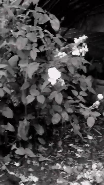 дождь а мы в доме отдыхаем Youtube