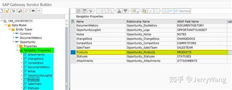 如何修改 Sap Abap Odata 模型，使其支持 Expand 操作试读版 知乎