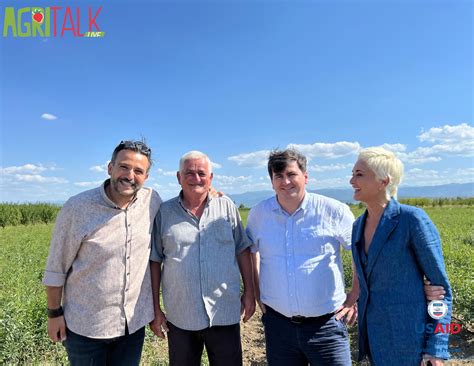 სანერგე მეურნეობა ქიწნისი