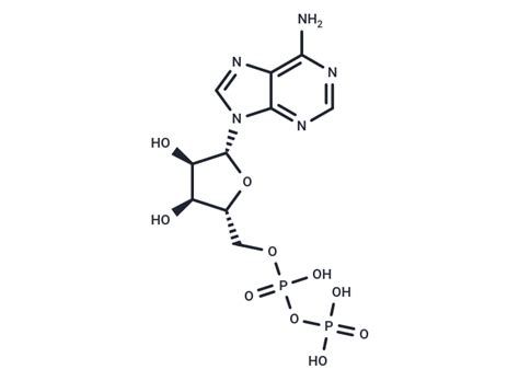 腺苷5 二磷酸 Adenosine 5 diphosphate CAS 58 64 0 生命科学产品与技术服务 生工生物工程