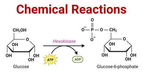 Chemical Reactions Types Balancing Factors Rates