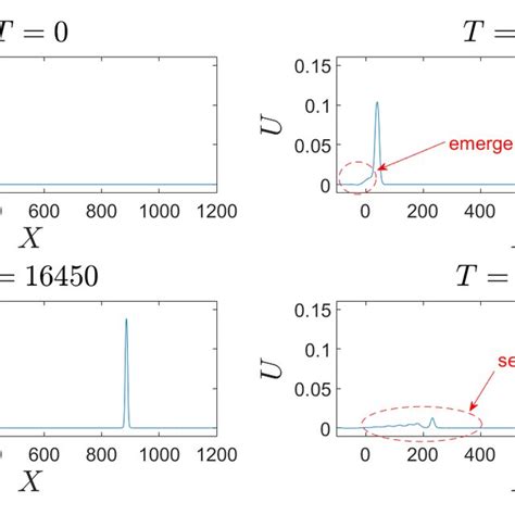 The Shape Of Solitary Wave When Left α 0 β 0 Right α Download Scientific Diagram