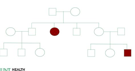 Inheritance Flashcards Quizlet Inheritance Flashcards Quizlet