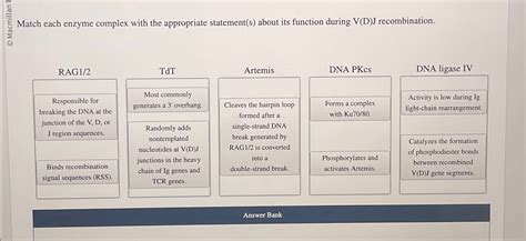 Solved Match Each Enzyme Complex With The Appropriate